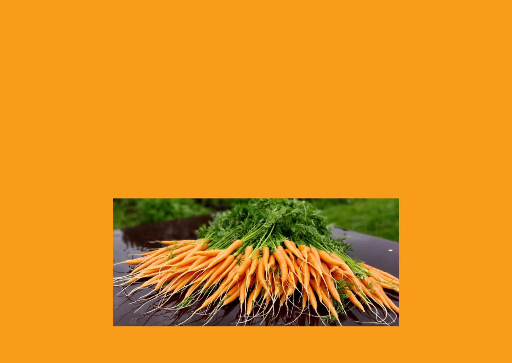 Forsíða heimasíðu sími (25) - Ás styrktarfélag